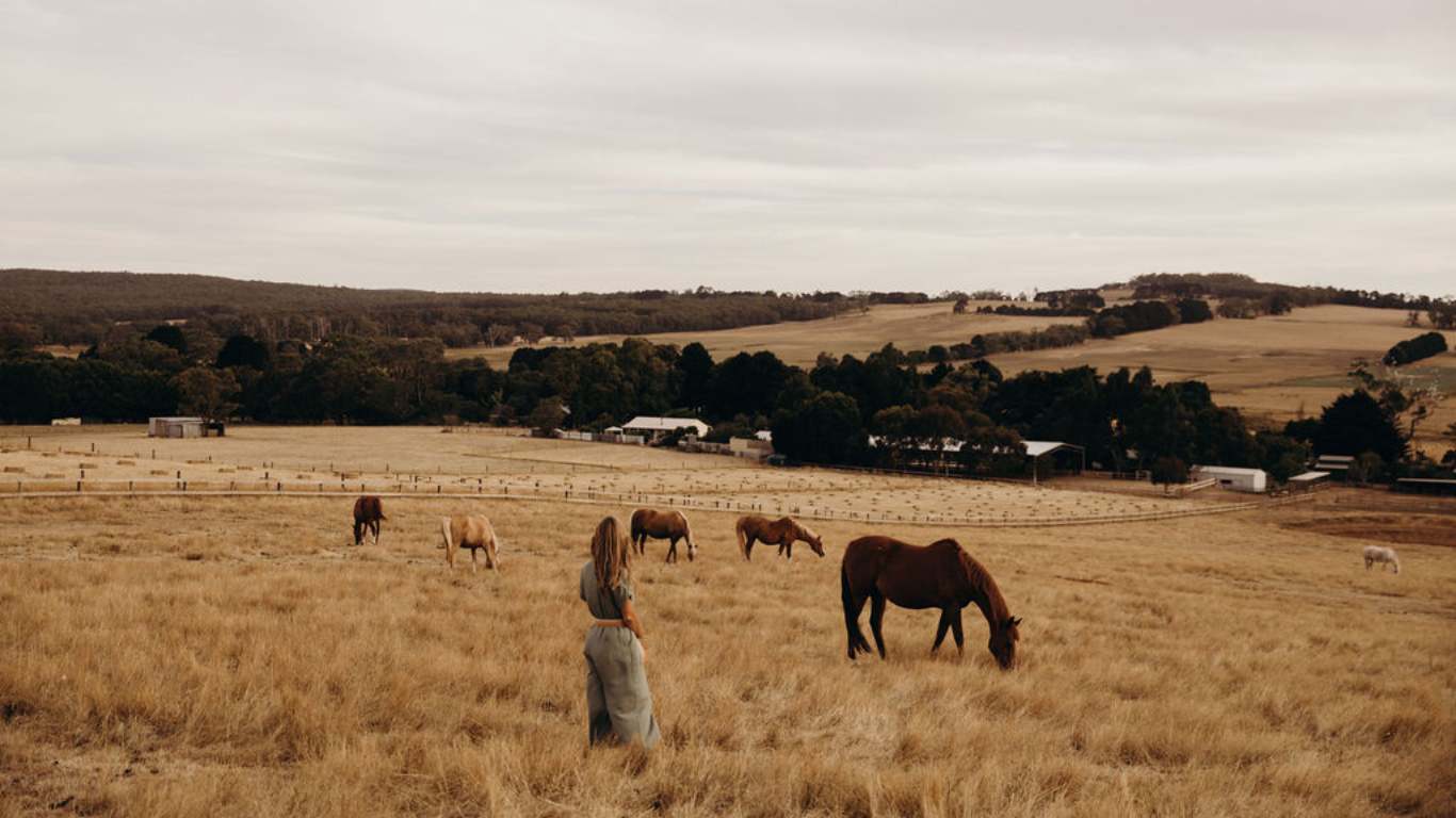 Module 2 – EAP and EAL Training – The Equine Psychotherapy Institute